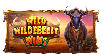 Try Wild Wildebeest Wins Slot by Pragmatic Play for Free - qasino.fun